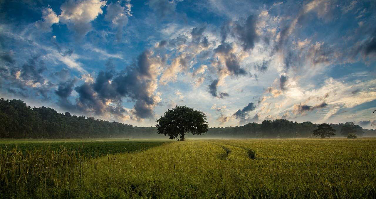 How To Find Inner Peace In 10 Easy Steps | Individualogist.com